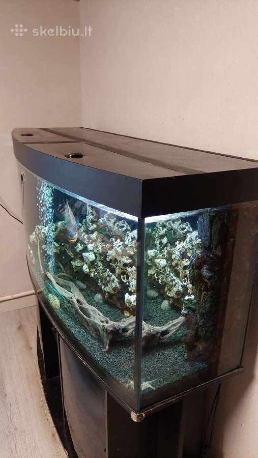 Akvariumas 450l su spintele - Skelbiu.lt