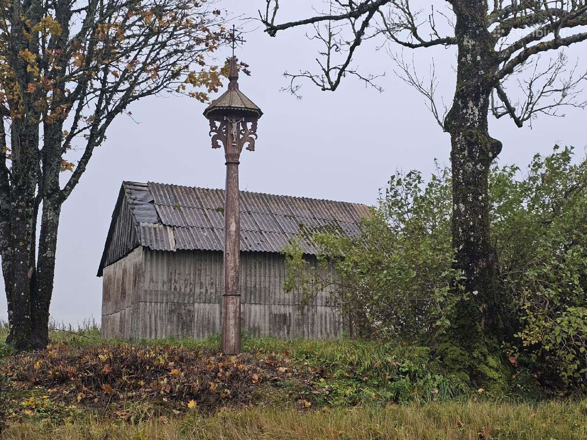 Kuliai - Skelbiu.lt