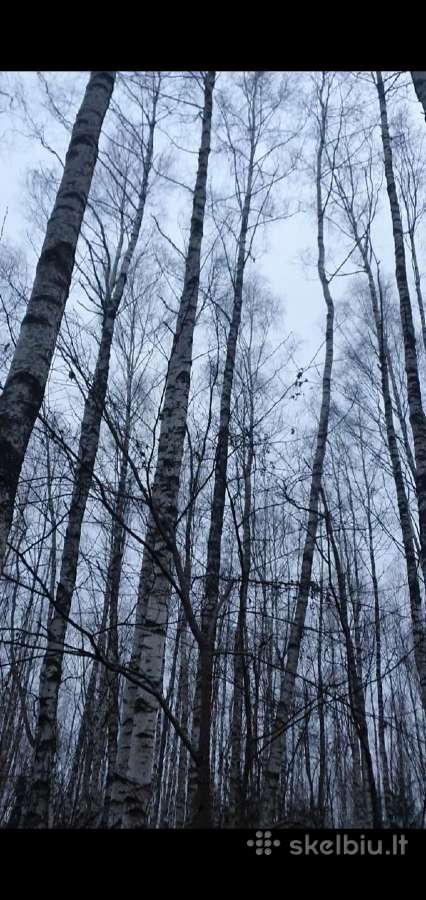 Sklypas - Skelbiu.lt