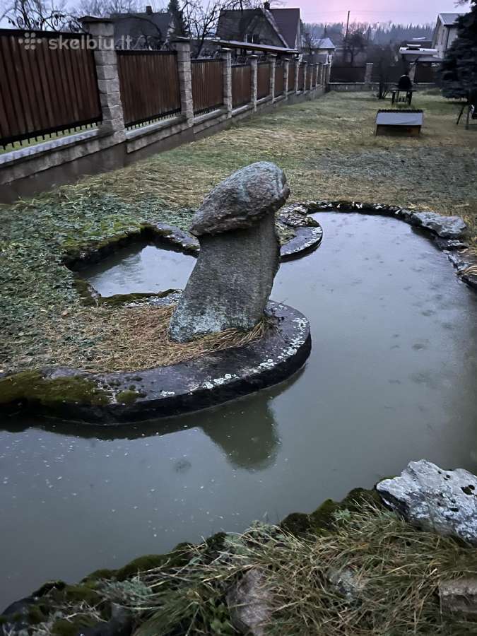 Naturalus dekoratyvinis akmuo - Skelbiu.lt