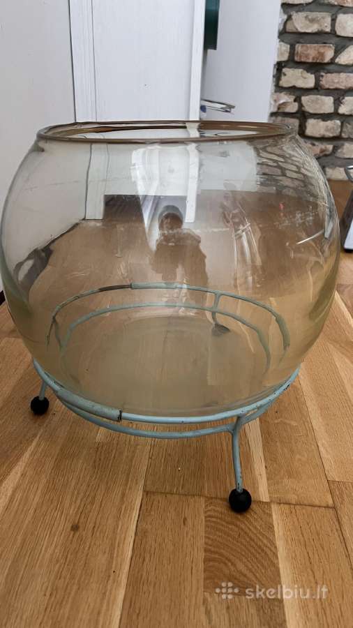 Apvalus akvariumas ~20 L - Skelbiu.lt