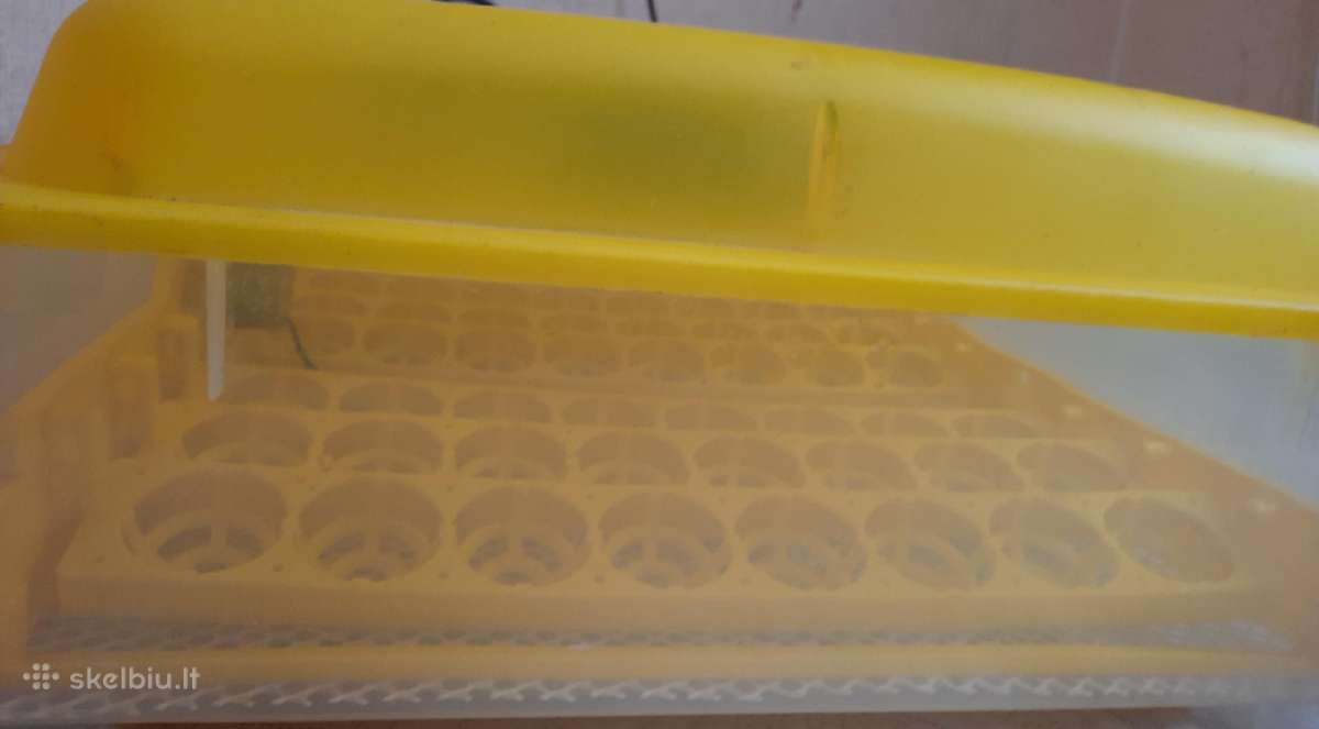 Automatinis inkubatorius - Skelbiu.lt