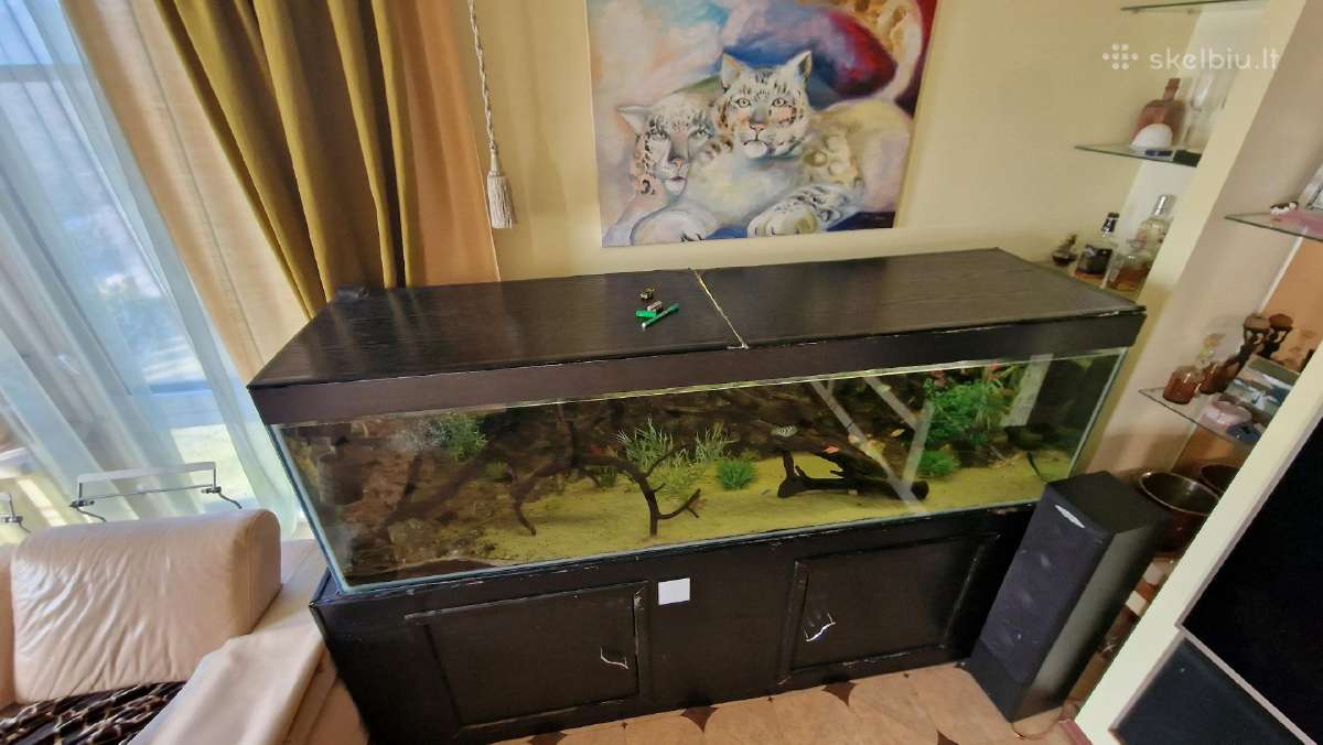 500l akvariumas - Skelbiu.lt