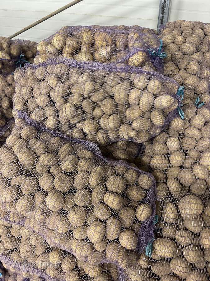 Parduodu sėklines bulves Adora Ir Vineta - Skelbiu.lt