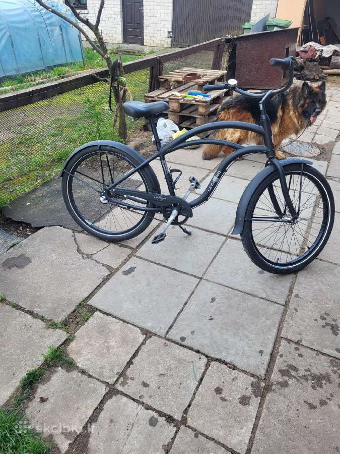 Dviratis - Skelbiu.lt