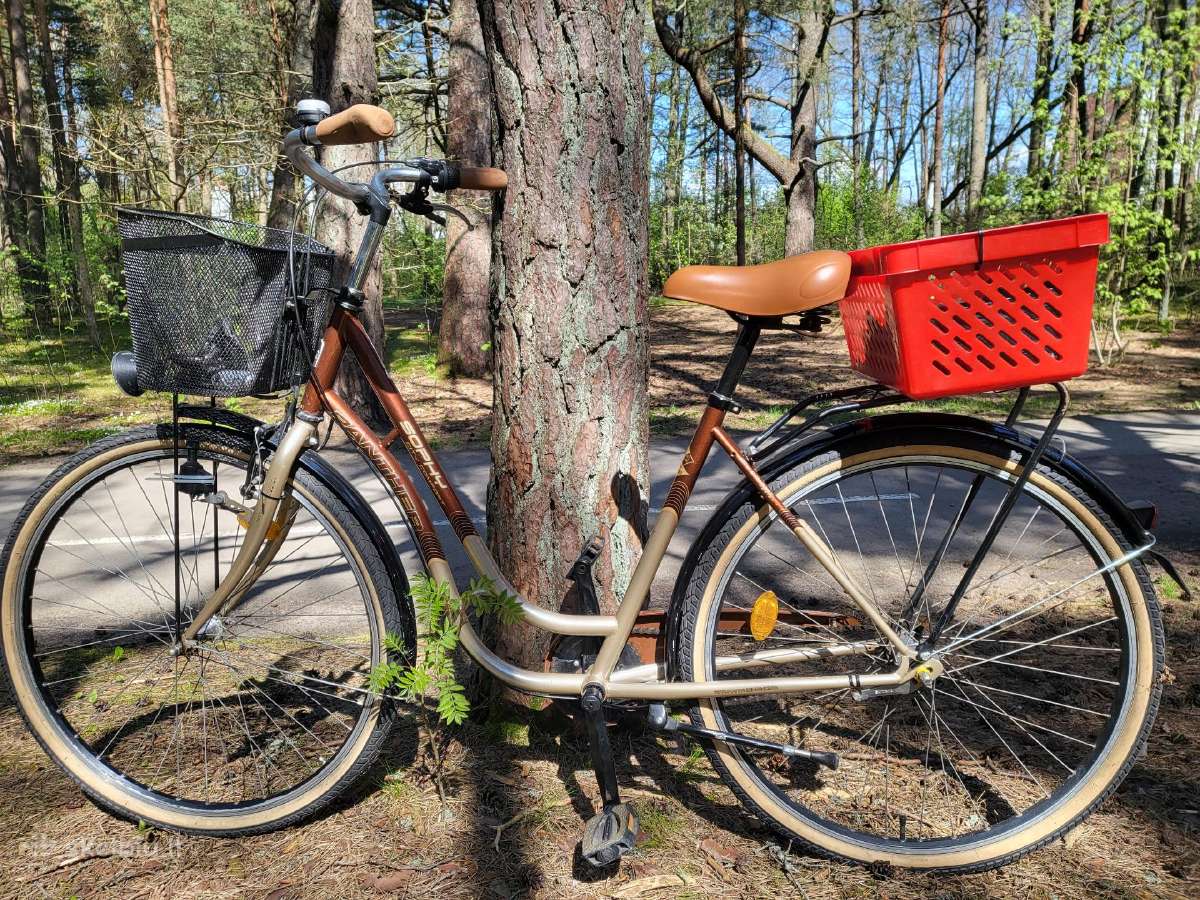 Dviratis - Skelbiu.lt