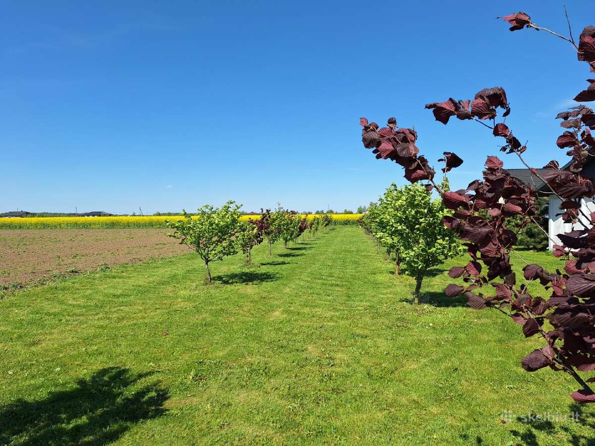 Sklypas, Klaipėdos r. Žemgrindžių k. Žemgrindžių g. sklypas Nekilnojamo ...