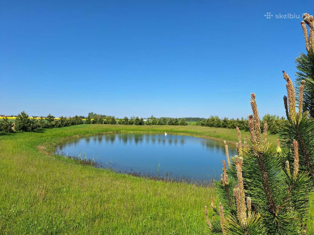 Sklypas, Klaipėdos r. Žemgrindžių k. Žemgrindžių g. sklypas Nekilnojamo ...