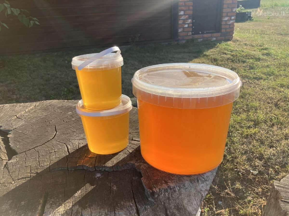 Medutis suringtas Nemuno regioniniam parke - Skelbiu.lt