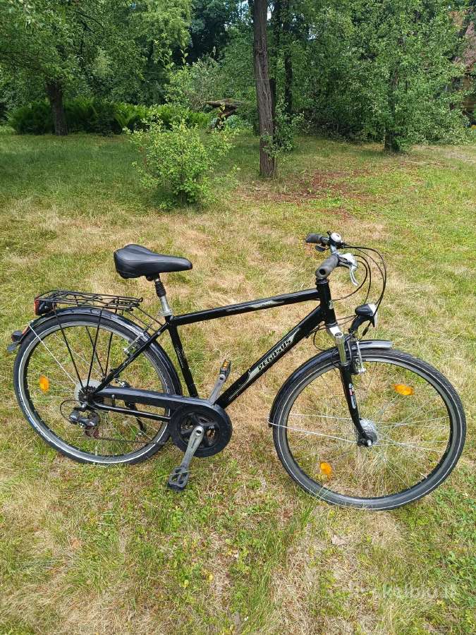 Dviratis - Skelbiu.lt