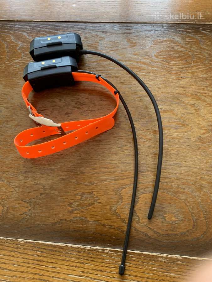 Garmin Dc40 - Skelbiu.lt