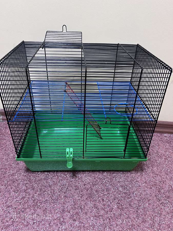 Narvas graužikams - Skelbiu.lt