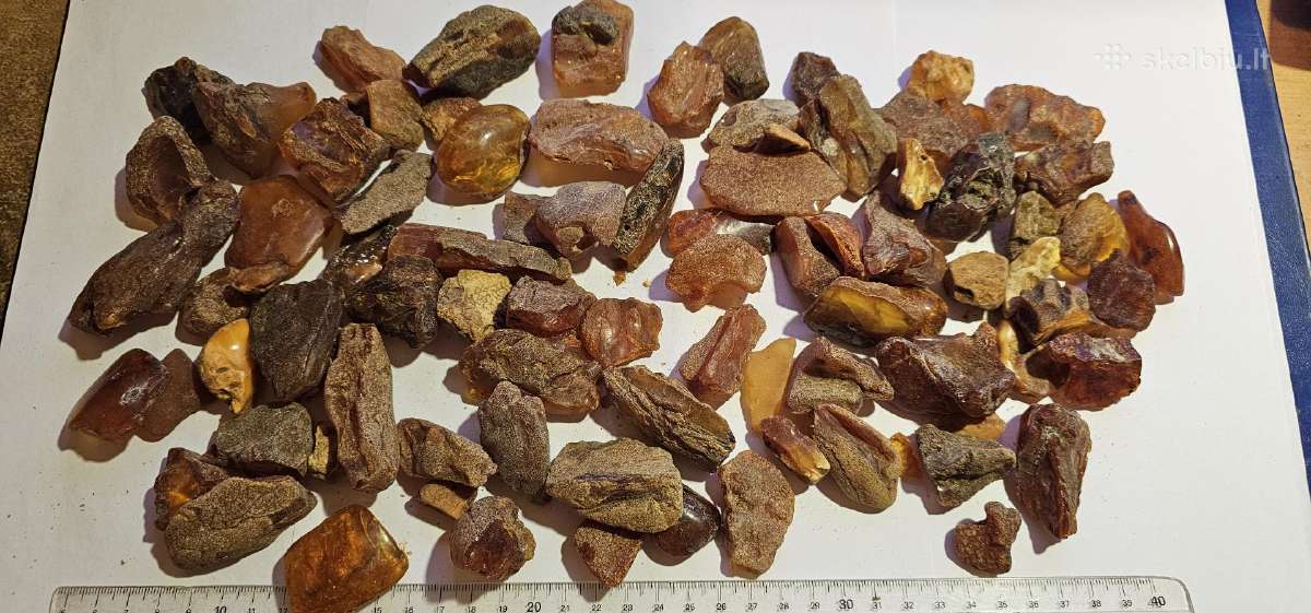 Gintaras - Skelbiu.lt