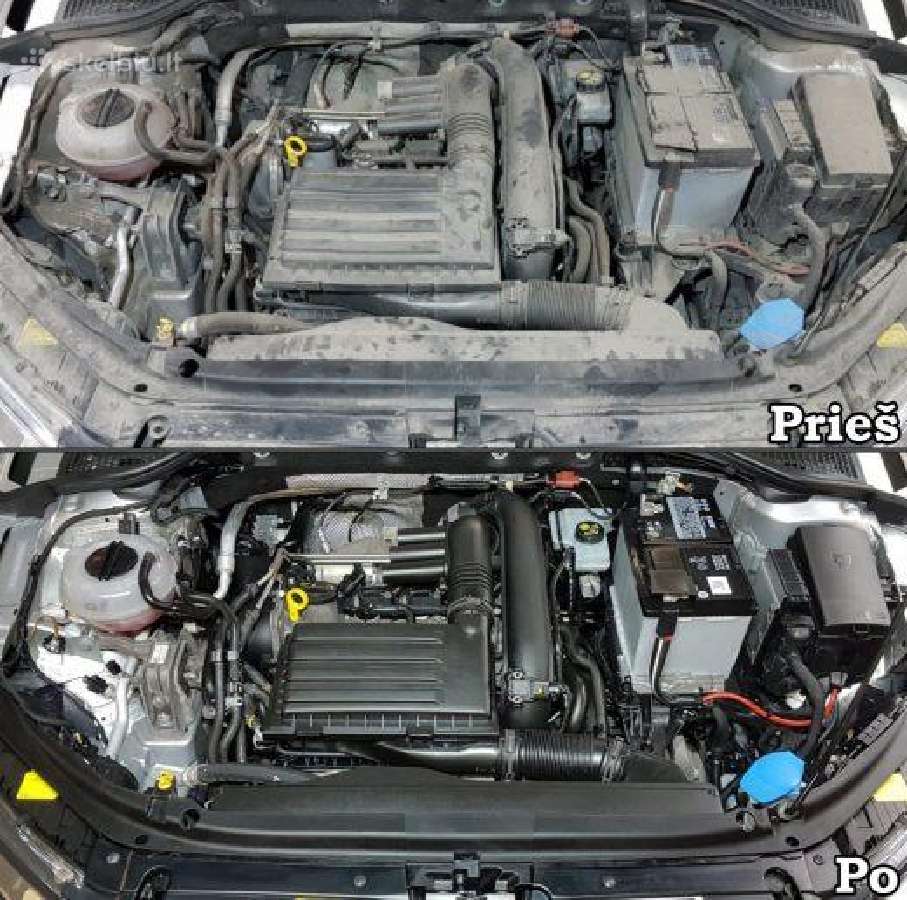 Variklio plovimas | A17172883