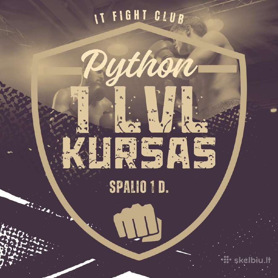 Individualūs Programavimo Python'u Kursai - Skelbiu.lt
