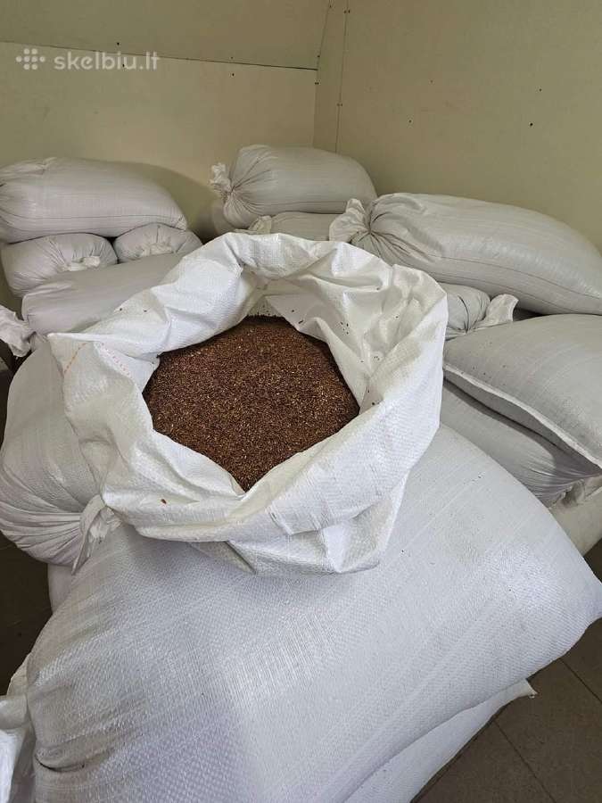 Linų sėmenis, margainio sėklos - Skelbiu.lt