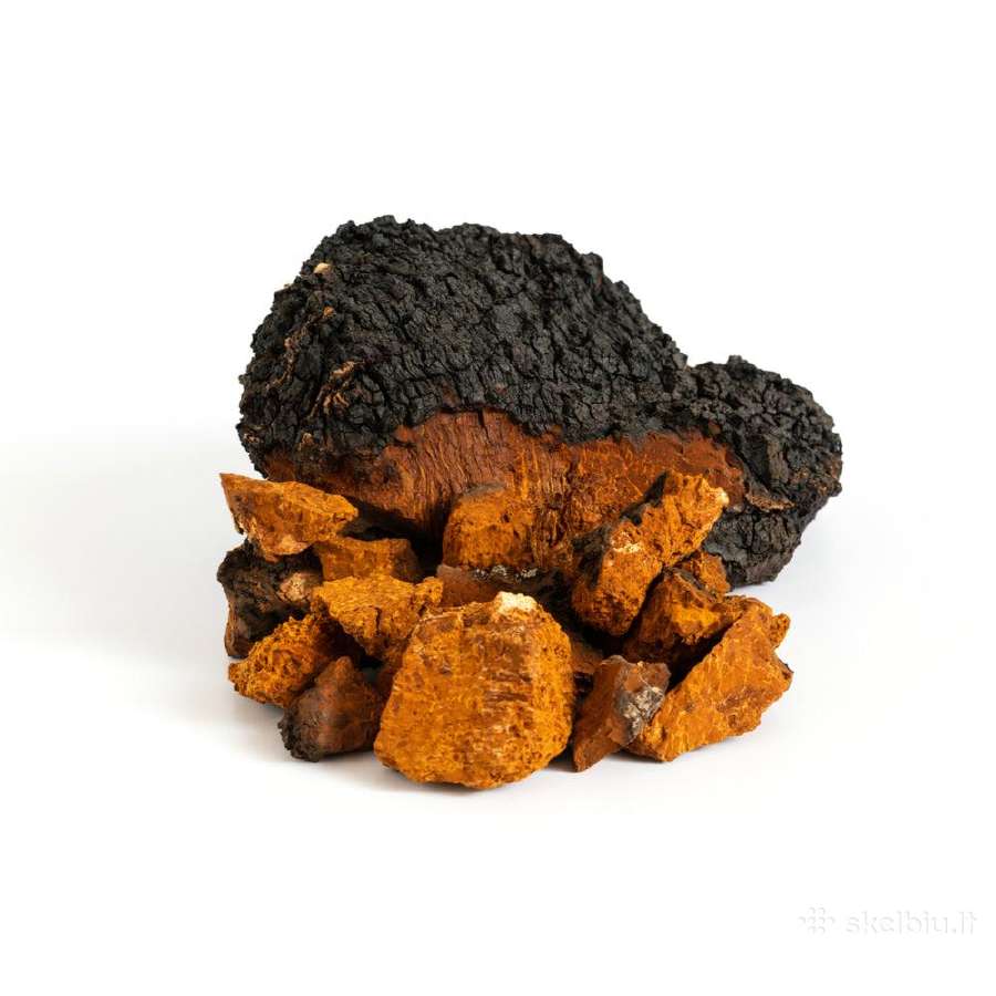 Chaga grybas - Skelbiu.lt
