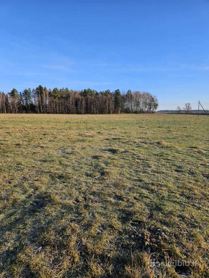 Sklypas - Skelbiu.lt