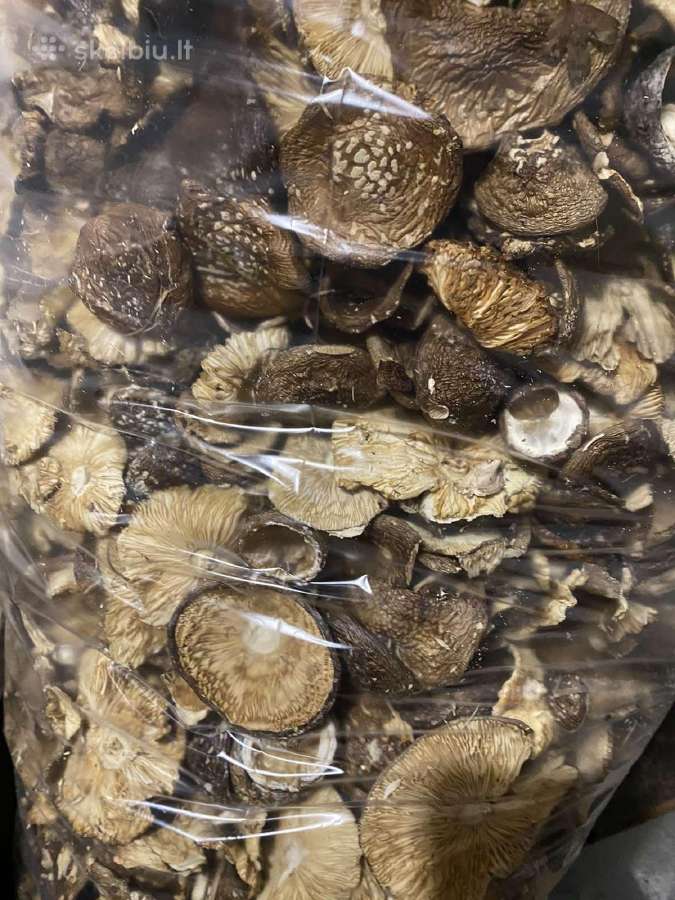 Parduodu musmires - Skelbiu.lt