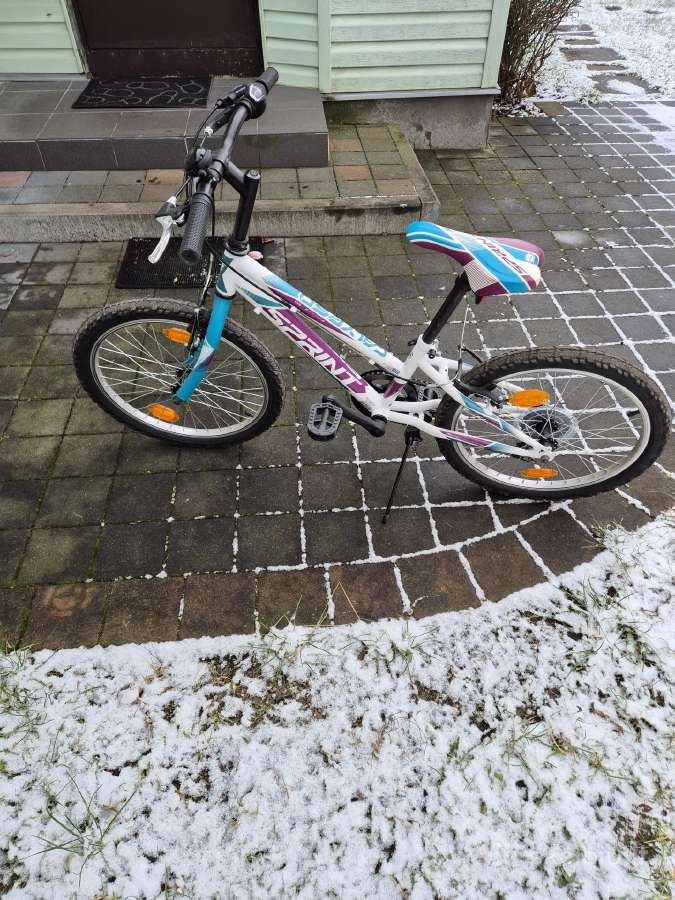 Dviratis - Skelbiu.lt