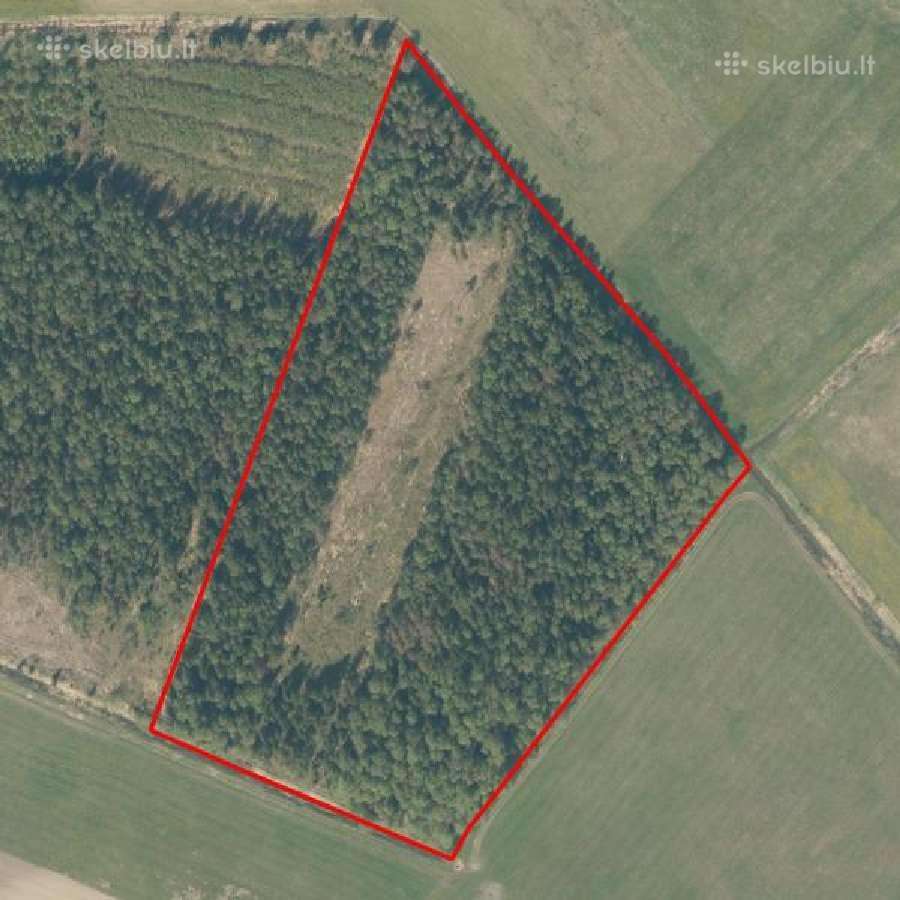 2.3 ha miškas su žeme - Skelbiu.lt