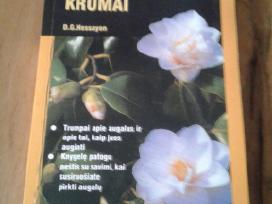 dekoratyviniai krumai skelbimai - Skelbiu.lt