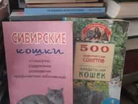 sibiro kate skelbimai - Skelbiu.lt