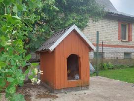 suns buda skelbimai - Skelbiu.lt