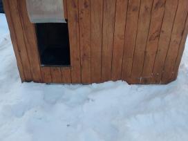 suns buda skelbimai - Skelbiu.lt