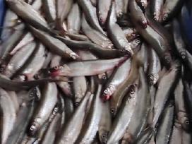 stinta jonavos r skelbimai - Skelbiu.lt