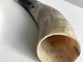 trimitas skelbimai - Skelbiu.lt