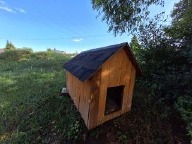 suns buda skelbimai - Skelbiu.lt