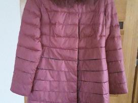 rozes kaunas skelbimai - Skelbiu.lt