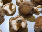 Šitake (shiitake) grybai - Skelbiu.lt