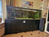 500l akvariumas - Skelbiu.lt