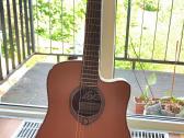 Gitara - Skelbiu.lt