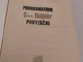 Programavimo C++ Builder pavyzdžiai - Skelbiu.lt