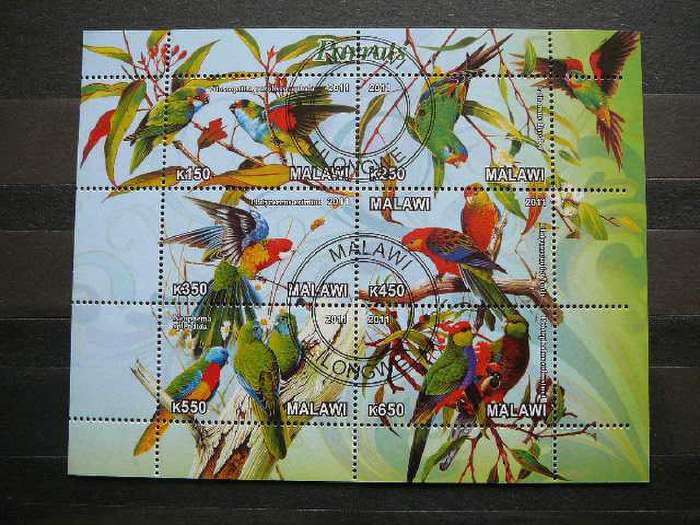 Papugos Pauksciai antsp. g431 - Skelbiu.lt