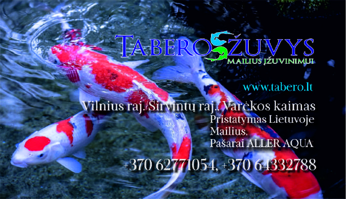 Izuvinimas. Mailius. Zuvys. Placiausias asortiment - Skelbiu.lt