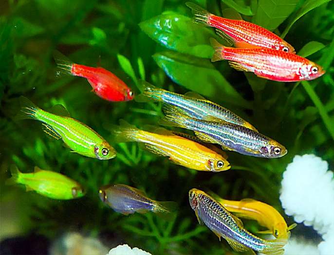 Nauja siunta - Skelbiu.lt