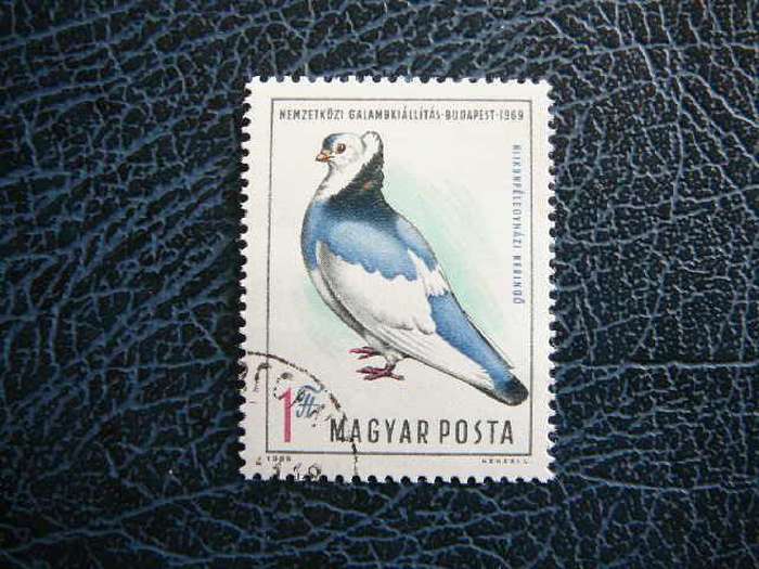 Balandziai Pauksciai Vengrija 1969 antsp v2562a - Skelbiu.lt