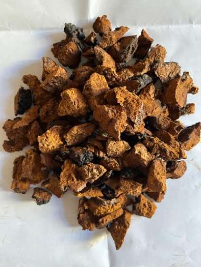 Juodasis beržo grybas (Čiaga, čaga, Juodgrybis) - Skelbiu.lt