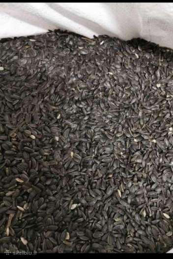 Juodos smulkios saulegrazos 1eur/kg - Skelbiu.lt