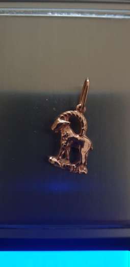 Auksinis oziaragio zenklas - Skelbiu.lt