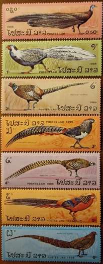 Laosas Fauna/paukščiai/fazanai - Skelbiu.lt