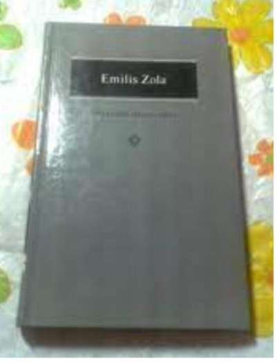 Emilis Zola Gyvenimo džiaugsmas - Skelbiu.lt