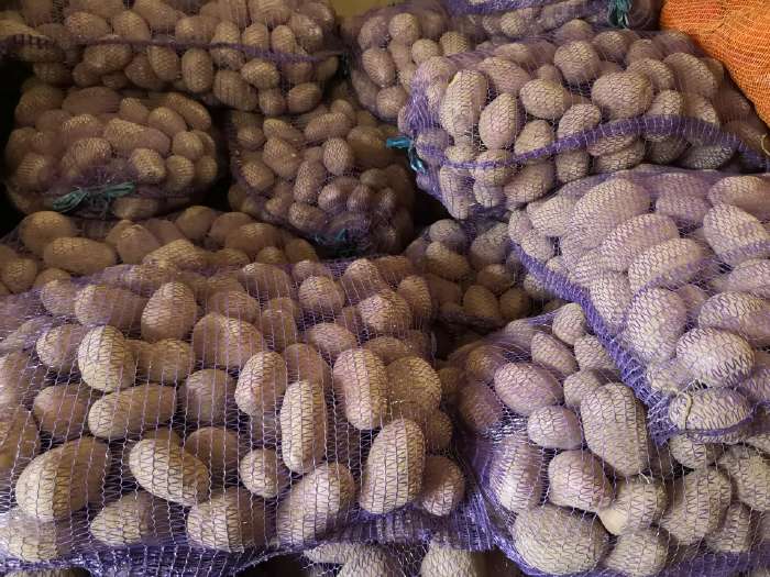 Bulvės Laura - Skelbiu.lt