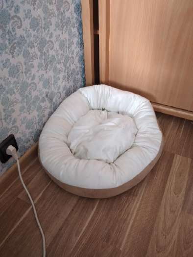 Šuniuko guolis - Skelbiu.lt