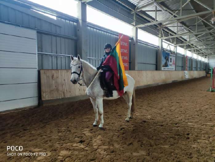 Parduodamas žirgas - Skelbiu.lt
