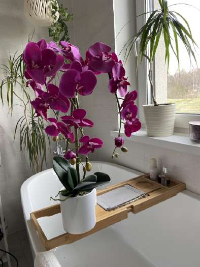 Dirbtine orchideja - Skelbiu.lt